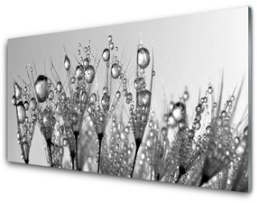 Obraz na skle Abstrakce Rostlina Příroda 100x50 cm