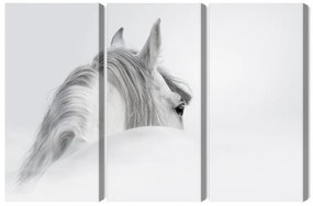 Vícedílný obraz Andaluský Kůň V Mlze Nedostatek Nedostatek Přírodní plátno 180x120