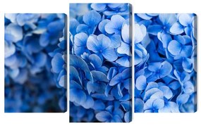 Vícedílný obraz Modré Květy Hortenzie Zblízka Nedostatek Nedostatek Plátno Canvas 90x60