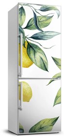 Wallmuralia Nálepka na ledničku do domu Citrony 60x180 cm