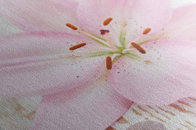 Obraz růžová lilie a Zen kameny Varianta: 60x40