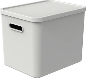 Rotho Úložný box, rovný s víkem, 27l, matně bílá ALBU LIGHT, 37x29x30