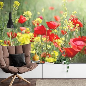 Fototapeta Poppies Meadow Samolepící tapety 300x210