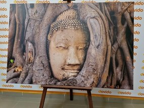 Obraz Budhů posvátný fíkovník - 90x60 cm