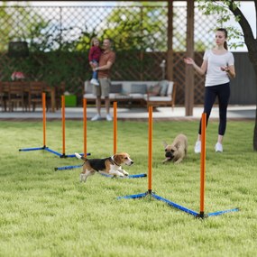 PawHut Agility set pro psy 3dílné agility vybavení se slalomovými tyčemi Taška na přenášení Výcviková sada pro všechny velikosti psů Oranžová barva