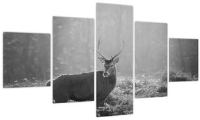 Obraz - Jelen v lese, černobílá (125x70 cm)