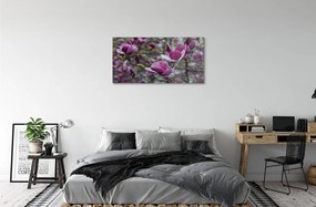 Obraz na skle fialové magnolie 125x50 cm