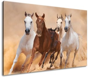 Gario Obraz na plátně Cválající koně Velikost: 120 x 80 cm