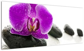 Orchidej - obraz (100x40cm)
