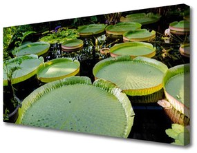 Obraz na plátně Listy Jezero Příroda 125x50 cm