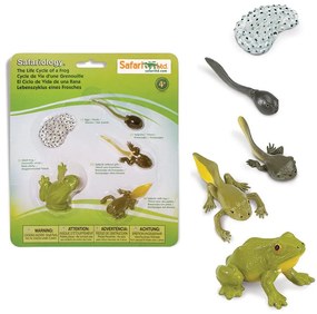 Safari Ltd. Životní cyklus - Žába