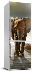 Wallmuralia Nálepka fototapeta lednička Chodící slon XL 60x180 cm