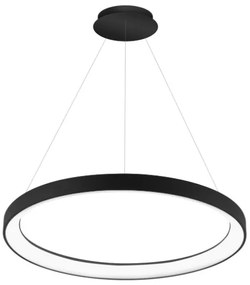 Závěsné LED svítidlo Palnas Dita Barva: Černá, Velikost: 78cm, Varianta: 3000-6500K Dálkové ovládání