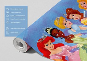Dětská fototapeta na zed' Princezny Všechny Spolu, Disney | 360 x 254 cm | DFTD 0264