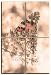 Obraz na plátně - Motýl na levandule - obdélník 7221FE (120x80 cm)