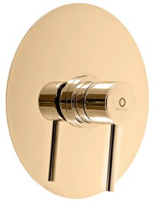 Slezák - RAV Baterie sprchová vestavěná SEINA zlato  Barva: Zlatá