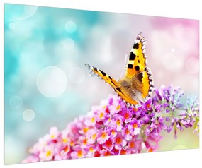 Obraz motýla na květech (90x60 cm)
