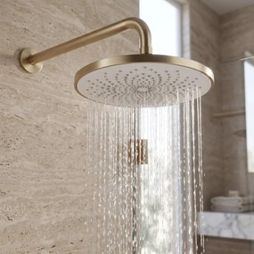 Rea, Kulatá dešťová sprcha REA JS-021 Gold Brush, REA-P0391