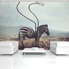 Fototapeta - Zebra (152,5x104 cm)