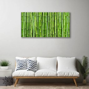 Obraz na plátně Bambus Květ Rostlina 125x50 cm