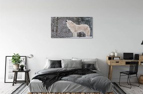 Obrazy na plátně Vlk v zimě lese 120x60 cm