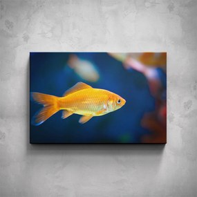 Obraz - Zlatá rybka - PopyDesign