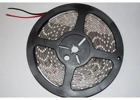 ECOLIGHT LED pásek - SMD 5050 - 5m - 60LED/m - 14,4W/m - IP20 - zelený