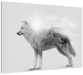 Skleněný obraz - Arktický vlk zrcadlící divokou krajinu, černobílý (70x50 cm)