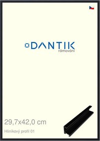 DANTIK rámeček 29,7x42 | ALU profil 7001 Černá matná (Plexi Čiré)