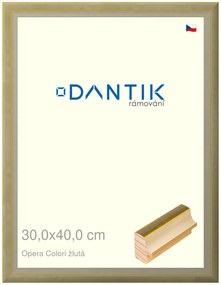 DANTIK rámeček 30x40 | OPERA Colori žlutá (Plexi Čiré)