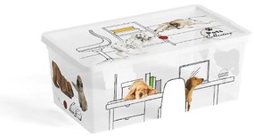 KIS Úložný box C-BOX XS 6l, pets