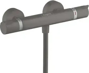 Hansgrohe Ecostat Comfort - Termostatická sprchová baterie kartáčovaný