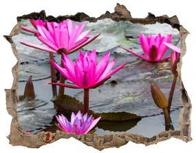 Wallmuralia Samolepící díra nálepka Květ lotosu 95x64 cm