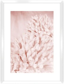 Plakát Pastel Pink II