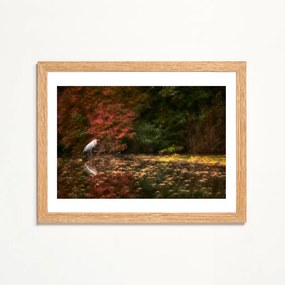 Jiří Hřebíček | Silent Autumn Admirer Rám: Černý, Velikost: 30 x 40 cm
