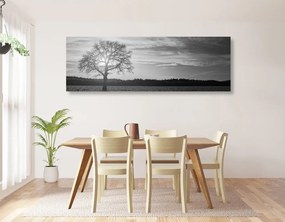 Obraz osamělého stromu v černobílém provedení Varianta: 150x50