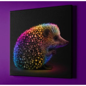 Obraz na plátně - barevný ježek FeelHappy.cz Velikost obrazu: 60 x 60 cm