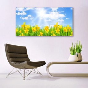Plexisklo-obraz Narcisy Louka Tráva Příroda 120x60 cm