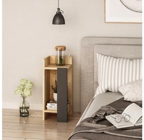Asir Noční stolek ELOS 60x25 cm hnědá/antracit 855DTE3507