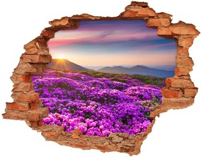 Wallmuralia Samolepící díra na stěnu Květiny v horách 90x70 cm
