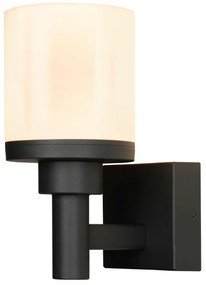 Černé fasádní LED svítidlo Saponia 12W IP65  - Candellux