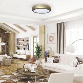 Stropní LED svítidlo Gea, 1x LED 36w, 3000-6000k, g, s ovladačem