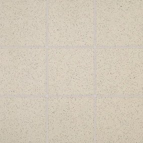 Dlažba Rako Taurus Granit tmavě béžová 10x10 cm mat TAA11061.1