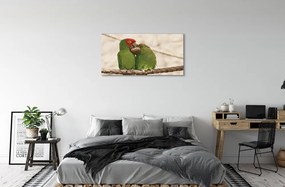 Obrazy na plátně zelené papoušci 140x70 cm