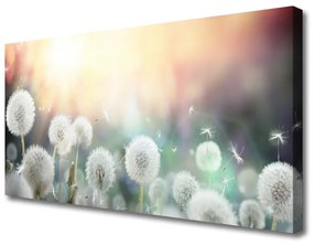 Obraz na plátně Pampelišky Květiny Příroda 120x60 cm