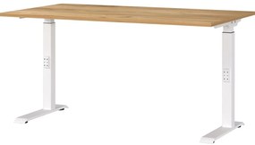 Pracovní stůl s nastavitelnou výškou s deskou v dekoru dubu 80x140 cm Downey – Germania