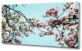 Wallmuralia Fotoobraz na skle Květiny magnolie 100x50