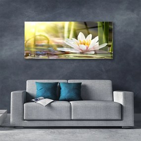 Plexisklo-obraz Květ Vodní Lilie 125x50 cm