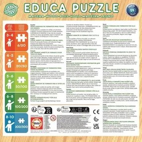 EDUCA Dřevěné puzzle Ledové království / 2x25 dílků / od 3 let