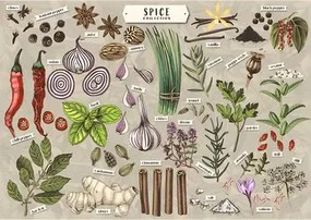 TREFL Puzzle Premium Plus Finders Keepers: Koření / 500 dílků / 48 × 3